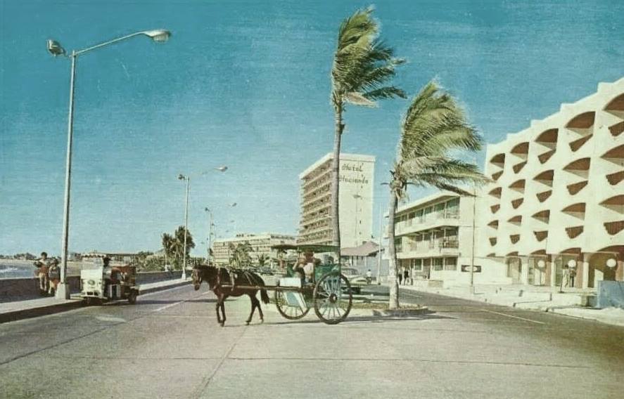 A Complete Guide to Mazatlan Pulmonias with Prices - Travel Off Path
