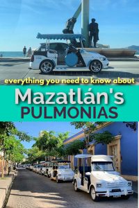 A Complete Guide to Mazatlan Pulmonias with Prices - Travel Off Path