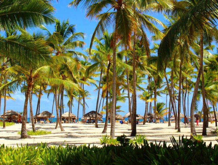 Delta Adds New Flight Routes To The Caribbean - Travel Off Path