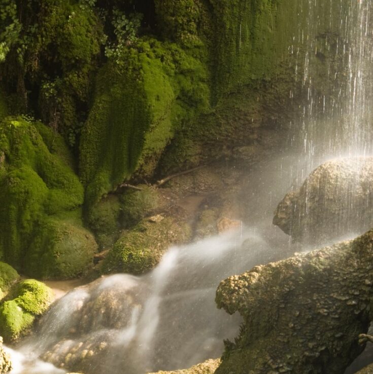 Top 10 State Parks On The East Coast - Travel Off Path