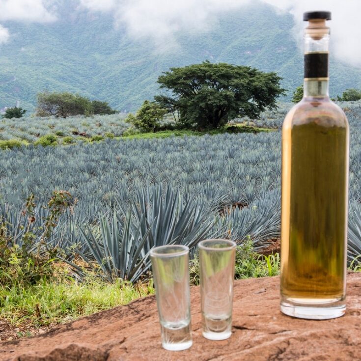 10 Things Visitors Should Know About Guadalajara and the Magical Town ...