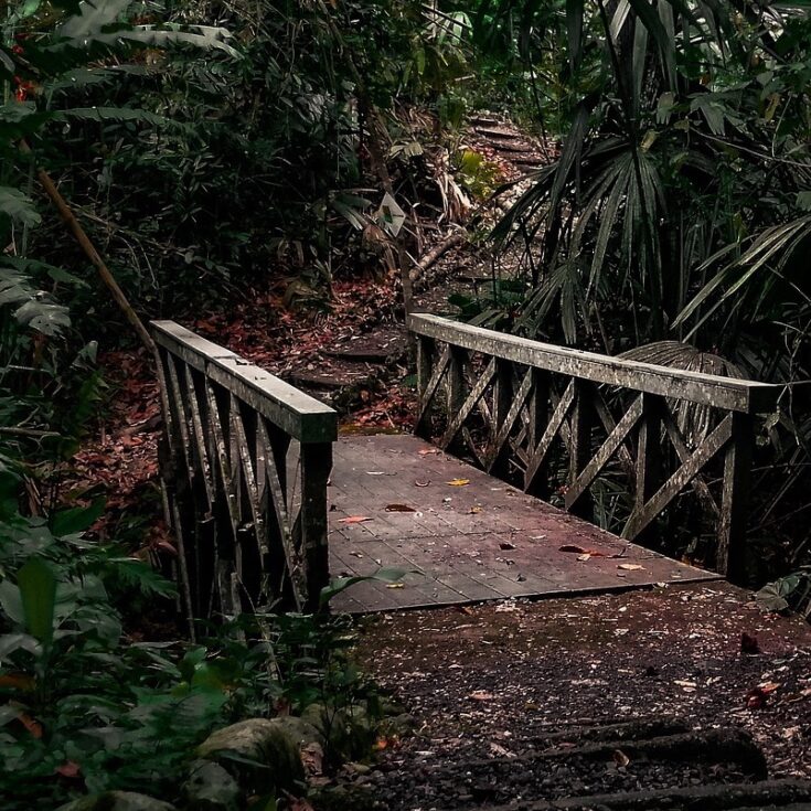 Top 10 Places to Visit in Colombia - Travel Off Path