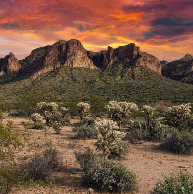 Top 7 State Parks in Arizona to Visit in 2022 - Travel Off Path