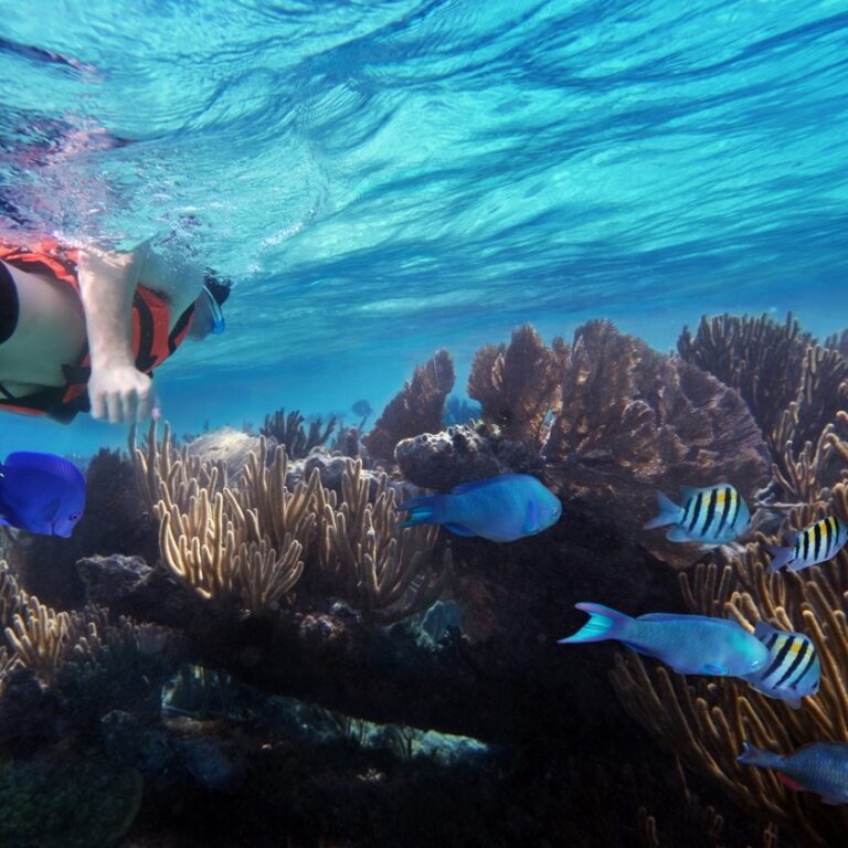 Explore Punta Nizuc and the Most Amazing Reefs in Cancun - Travel Off Path