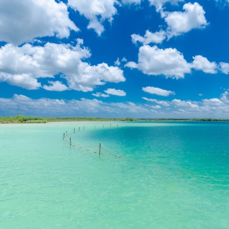 Discover Kaan Luum Lagoon, a Hidden Paradise in the Riviera Maya ...
