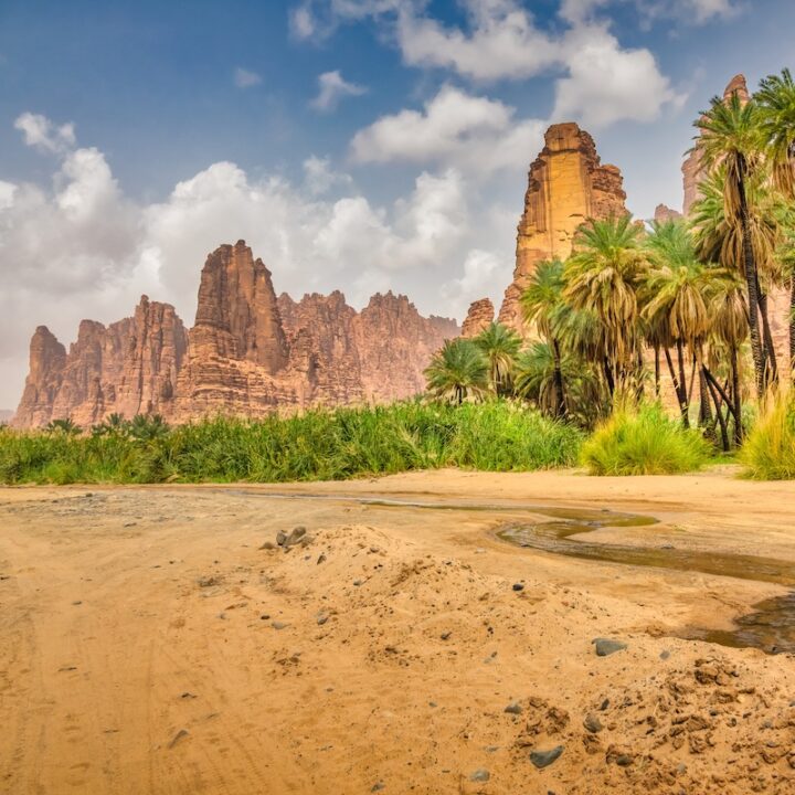 Wadi Al Disah Saudi Arabia valley - Travel Off Path