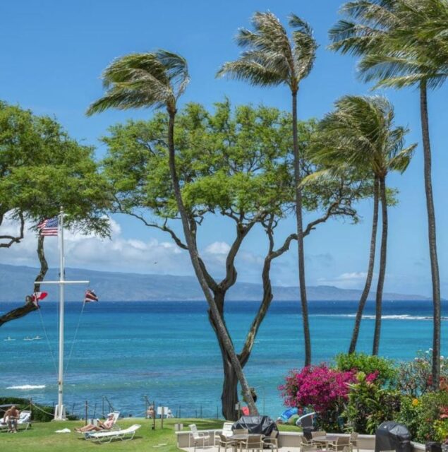 napili - Travel Off Path