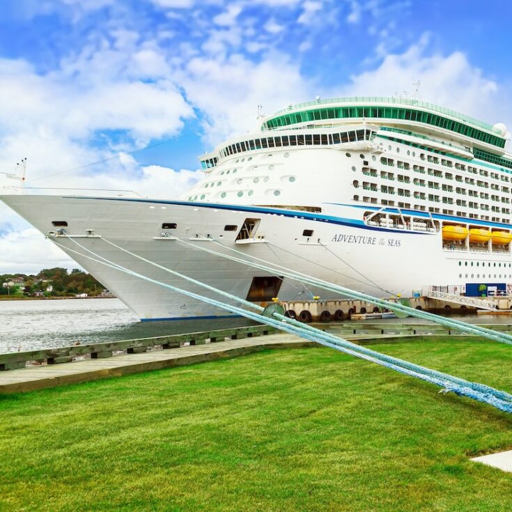 Royal Caribbean Cruises Welcome Back Self-Service Buffets - Travel Off Path