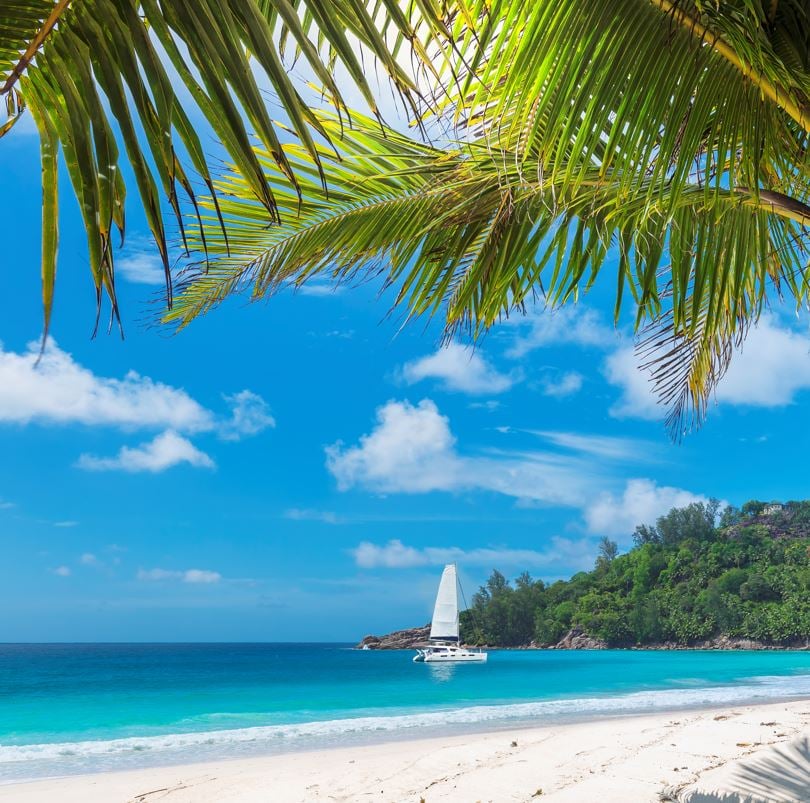 beautiful-beach-front-with-blue-water-and-sky-and-white-sand- Travel ...