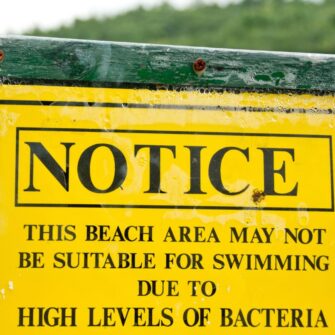 These 10 Beaches In The U.S. Have The Highest Levels Of Bacteria ...