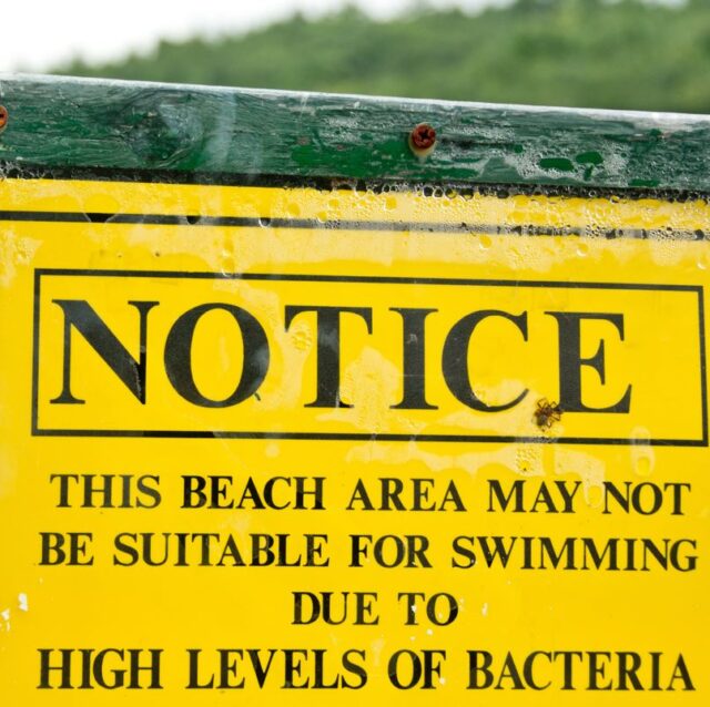 These 10 Beaches In The U.S. Have The Highest Levels Of Bacteria ...