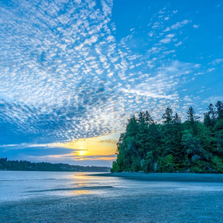 These 10 Beaches In The U.S. Have The Highest Levels Of Bacteria ...