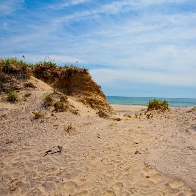 These 10 Beaches In The U.S. Have The Highest Levels Of Bacteria ...