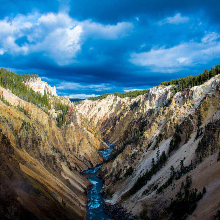Large Area Of Yellowstone National Park Will Be Closed Until Winter ...