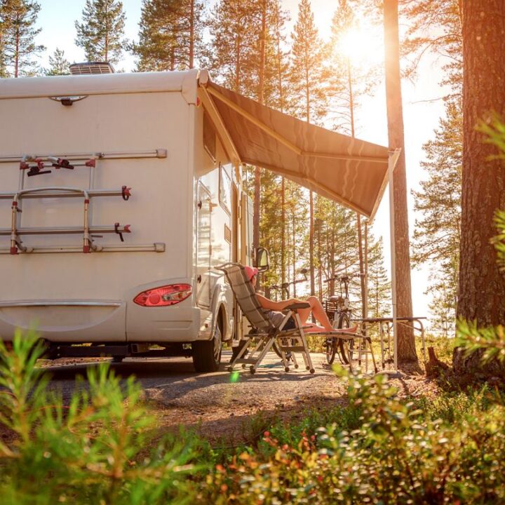 rv camping forest - Travel Off Path