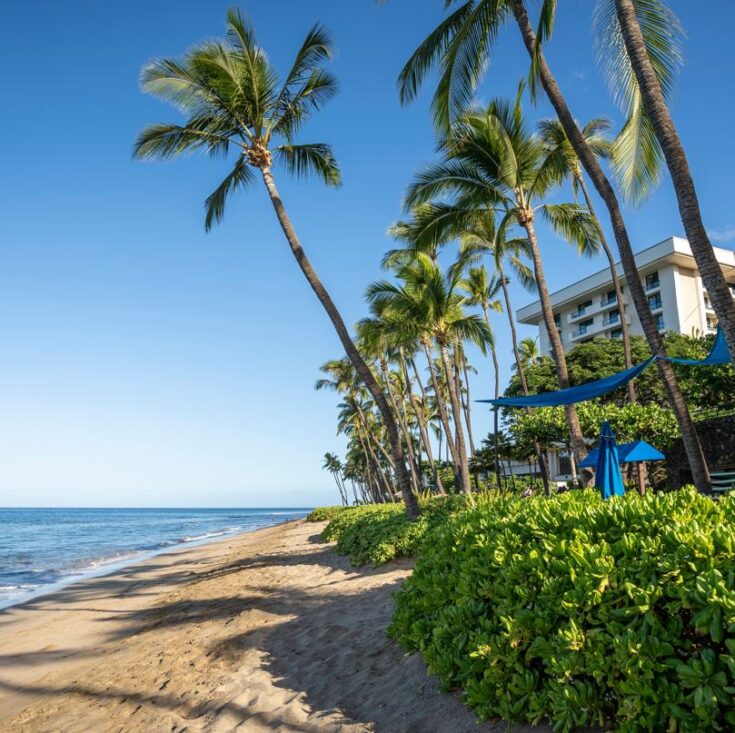 Lahaina hawaii - Travel Off Path