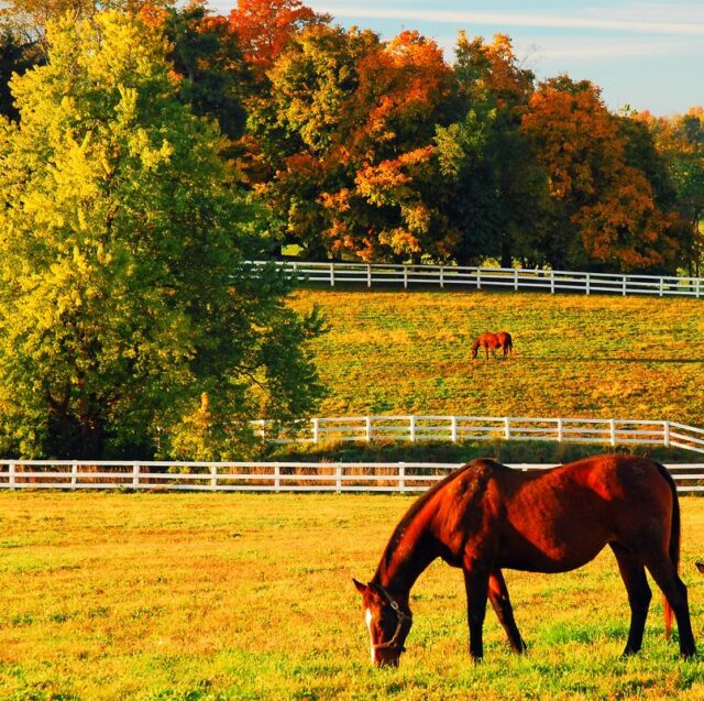 Top 10 Destinations In The U.S. This Fall, According To Airbnb - Travel ...