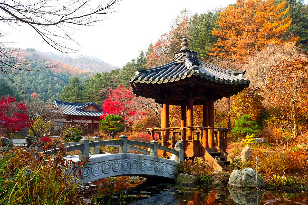 3 Reasons Why This Is The Perfect Time To Visit Japan Now That The ...