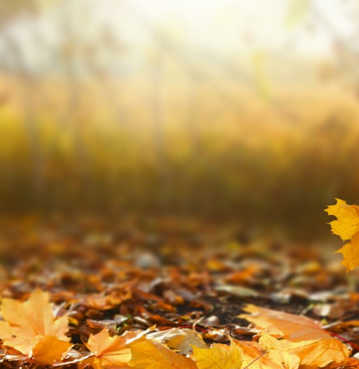 Top 10 Places To See Fall Foliage In The United States - Travel Off Path