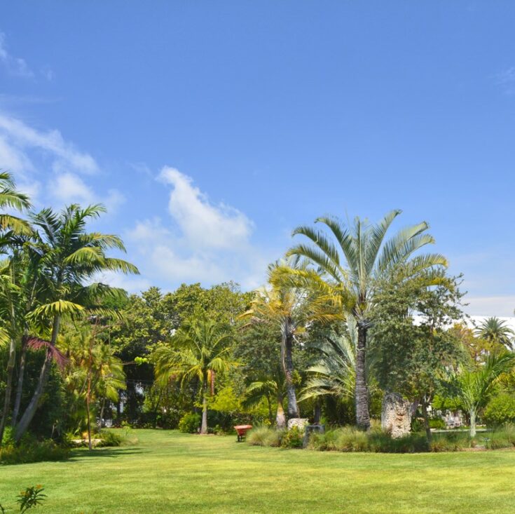 7 Off The Beaten Path Things To Do Near Miami In 2023 - Travel Off Path
