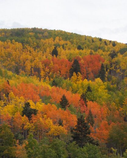 Top 10 Places To See Fall Foliage In The United States - Travel Off Path