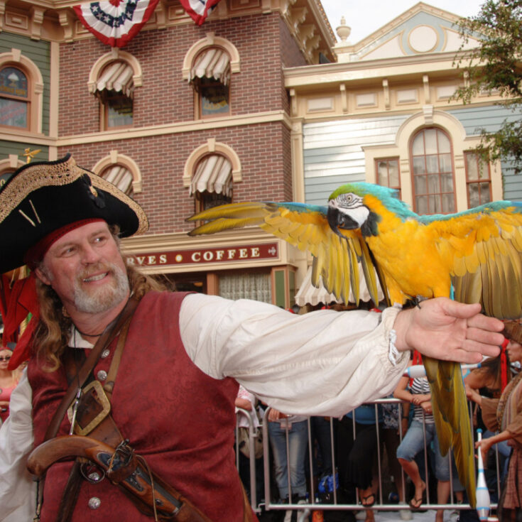 Disneyland Anaheim Pirates of the Caribbean - Travel Off Path