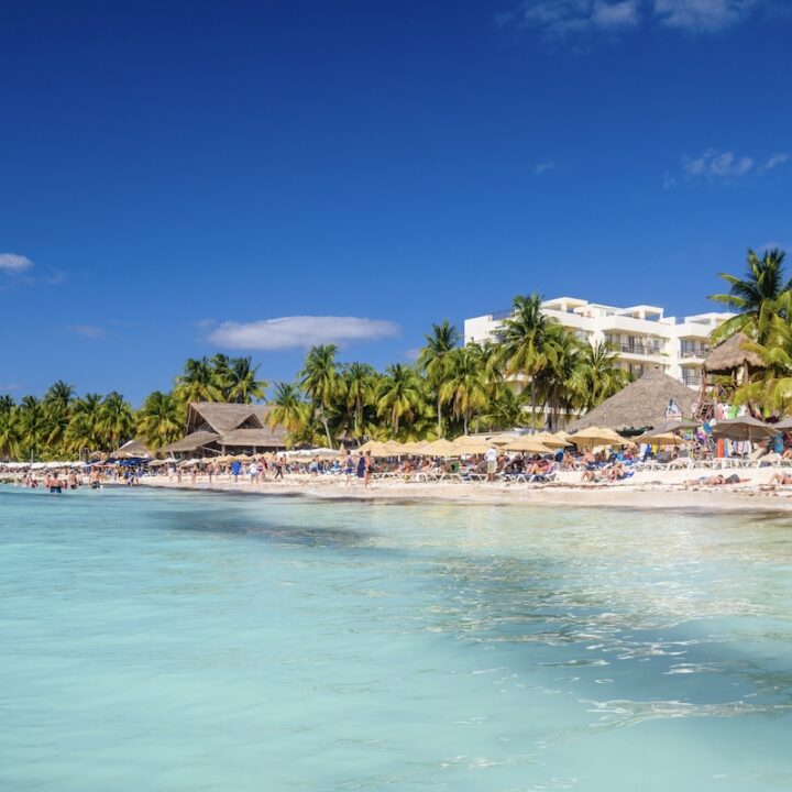 Sargassum Seaweed Season Is Officially Over In Cancun And The Mexican ...