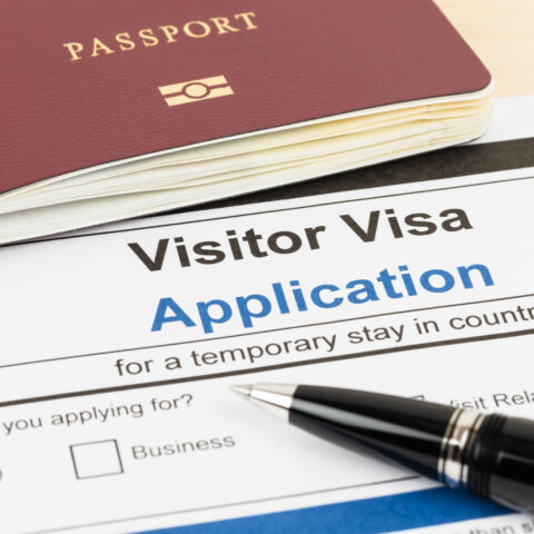 Travel Is Normal Again, But You Still Need To Check 5 Things Before You ...