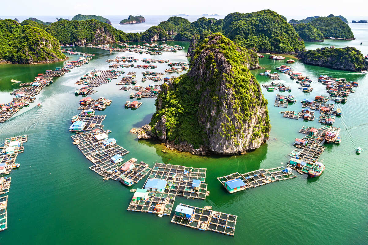 Aerial View Of A Floating Fishing Village In Vietnam, Southeast Asia ...