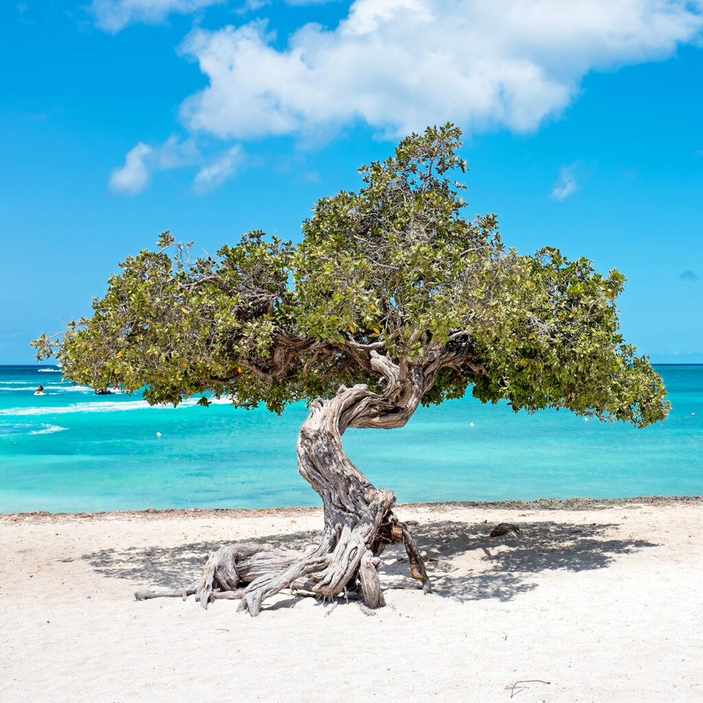 Top Off The Beaten Path Destinations To Visit In The Caribbean This ...