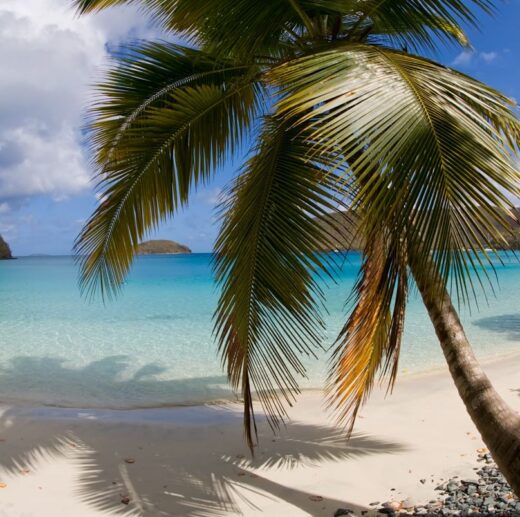 These Are The Top 8 Caribbean Beaches To Escape The Cold This Winter ...