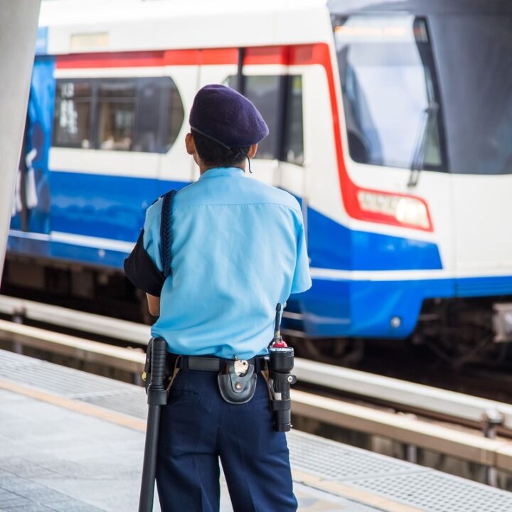Mexico's New Scenic Train Will Be Patrolled By National Guard To Ensure ...