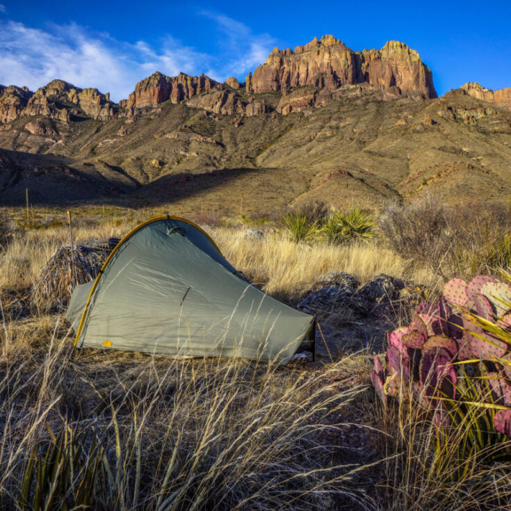 This U.S. National Park Is The Most Popular During The Winter - Travel ...