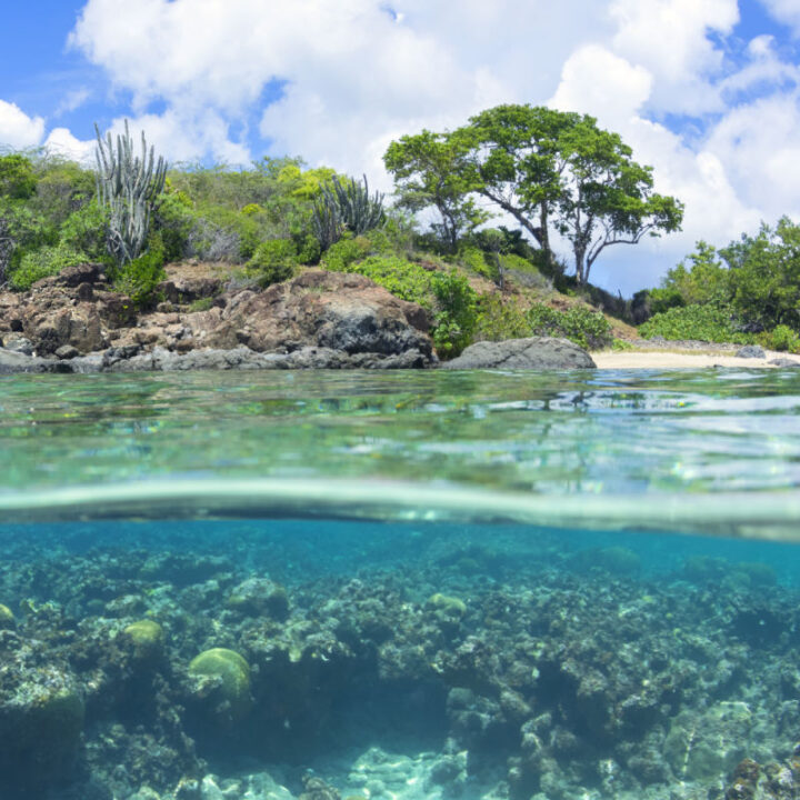 Is This Mexico's Last True Pristine And Off Path Island Destination ...