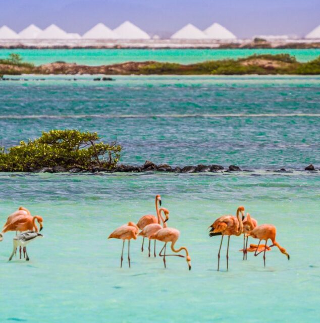 6 Spring Trips Perfect For Every Type Of Traveler - Travel Off Path