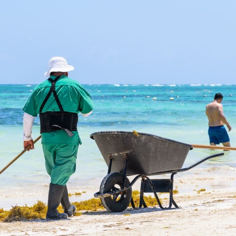 These Are The Best Beaches to Visit Around Cancun For Less Seaweed ...