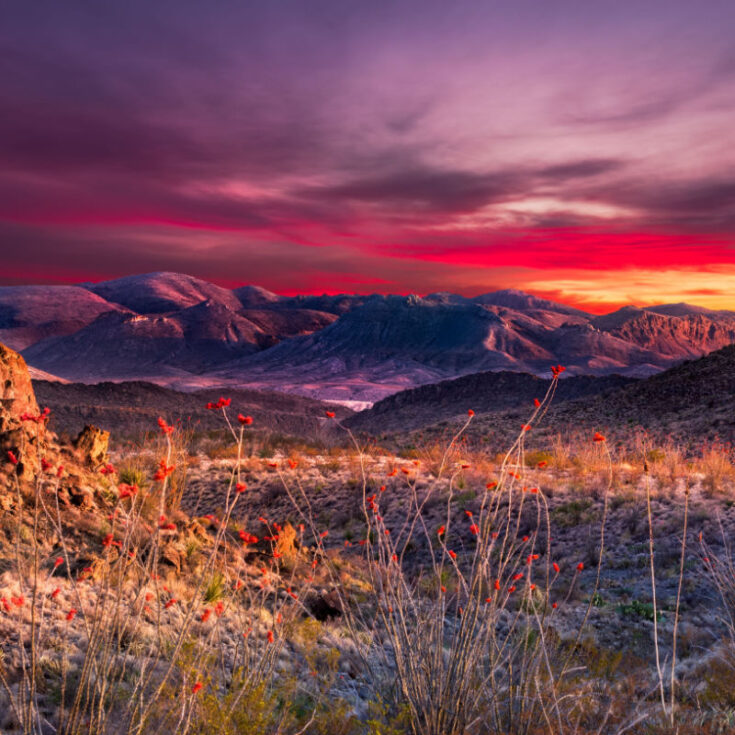 This U.S. National Park Is The Most Popular During The Winter - Travel ...