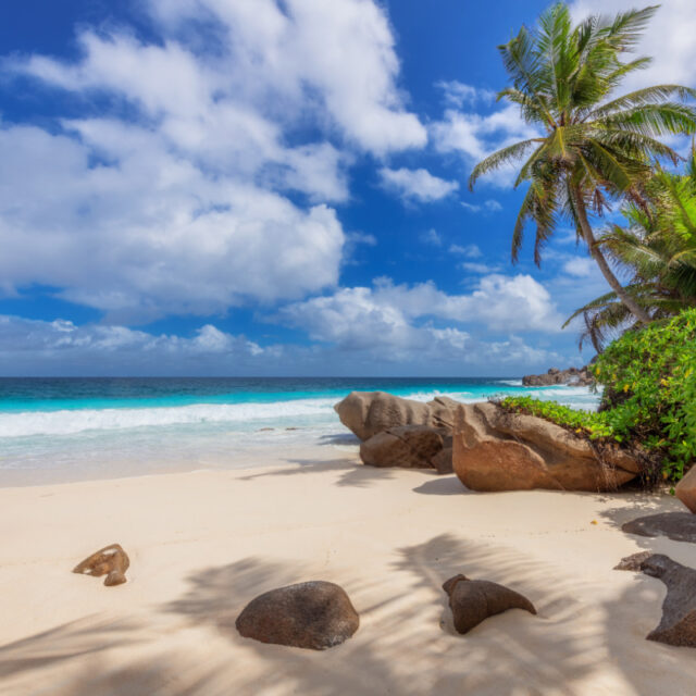 Fly To These 5 Sunny Destinations From The U.S. For Under $300 Round ...