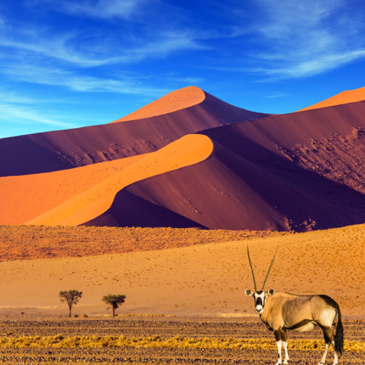 Digital Nomads Can Live In This Bucket List Destination For 6 Months ...