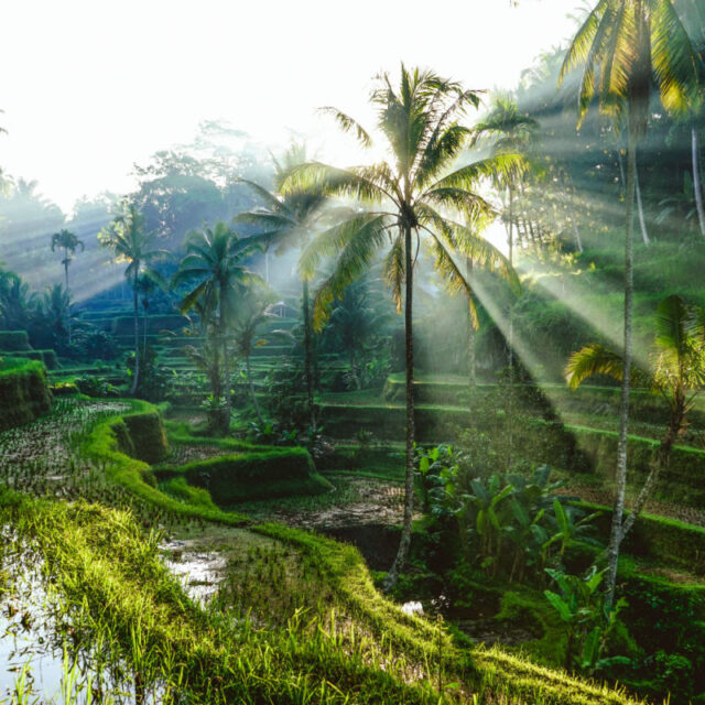 Why Bali Wants To Change Its Reputation And Deter ‘Bad Behavior ...