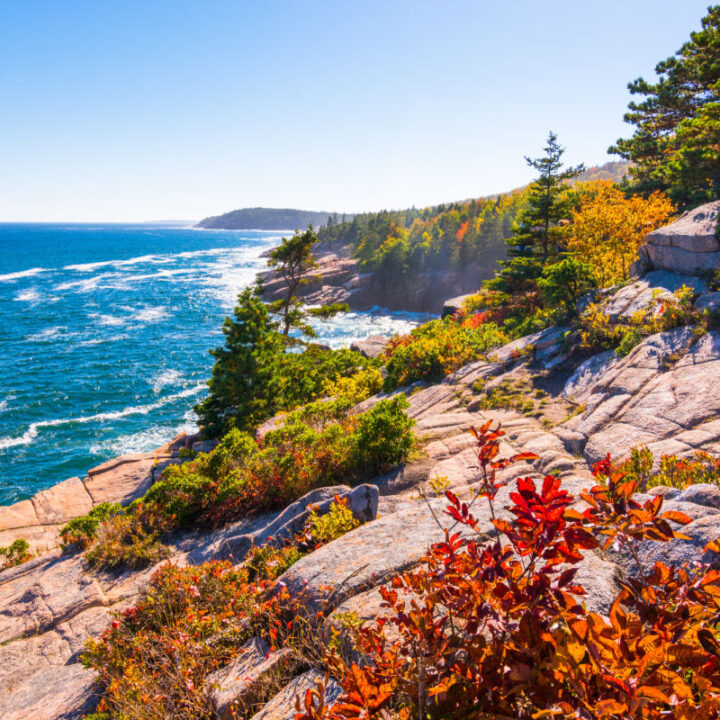 Why This U.S. State Is One Of The Safest And Top Destinations This Fall ...