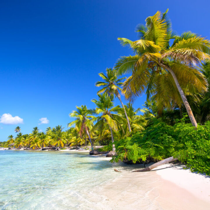 JetBlue Launches New Flights To The Dominican Republic - Travel Off Path