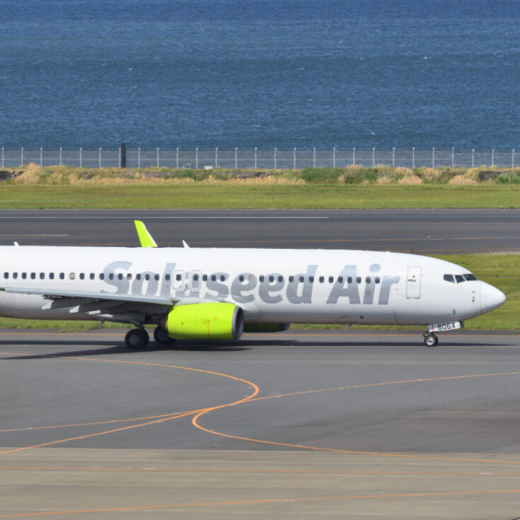 Lime-green-and-white-plane-on-a-runway-with-the-ocean-behind - Travel ...