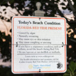 What Travelers Need To Know About The Harmful Red Tide In Florida ...