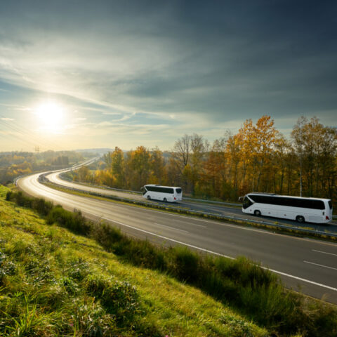 The World's Longest Bus Journey Will Visit 22 Countries This Summer ...