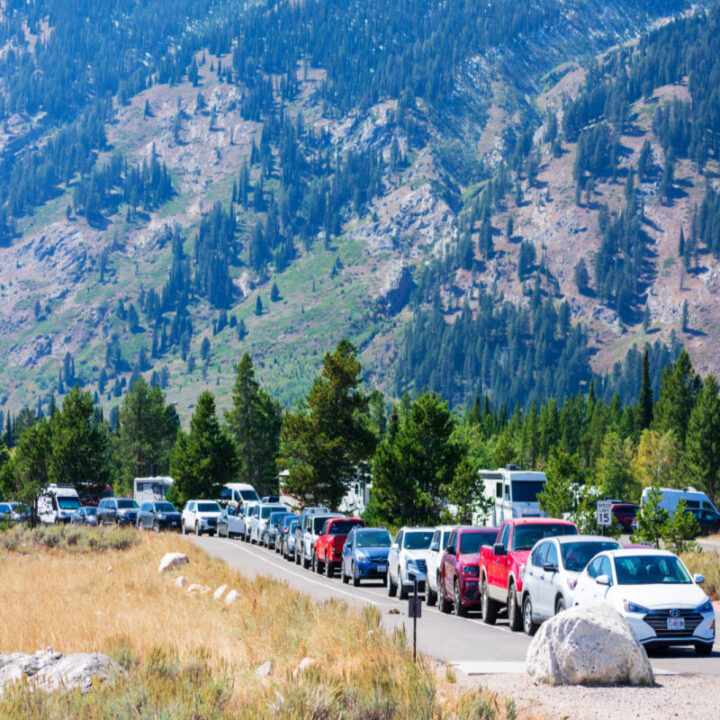 5 Lesser-Known National Parks To Avoid Large Crowds This Summer ...