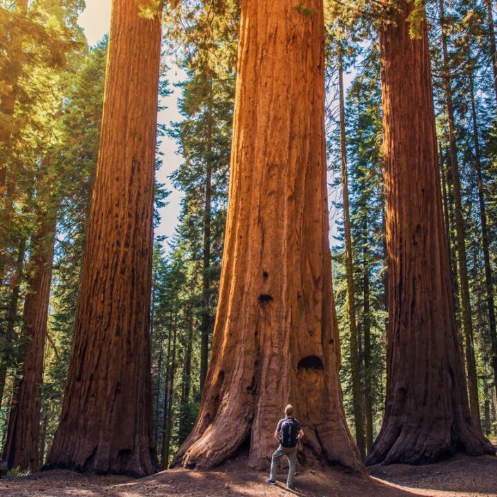 These Are The Top 8 U.S. National Parks To Visit This Summer According ...