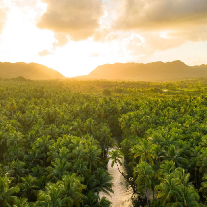 Sunset-over-the-Amazon-rainforest-in-Brazil - Travel Off Path