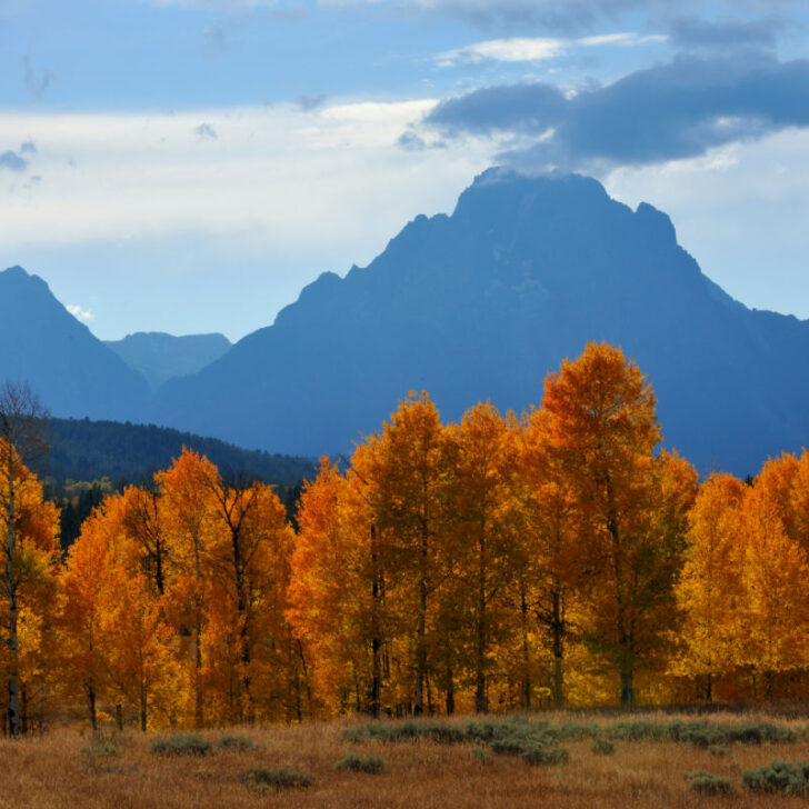 Why This Is The Most Stunning Fall Destination In The U.S. This Year ...