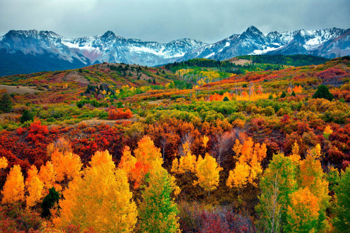 4 Reasons You Should Visit This Gorgeous U.S. State This Fall - Travel ...